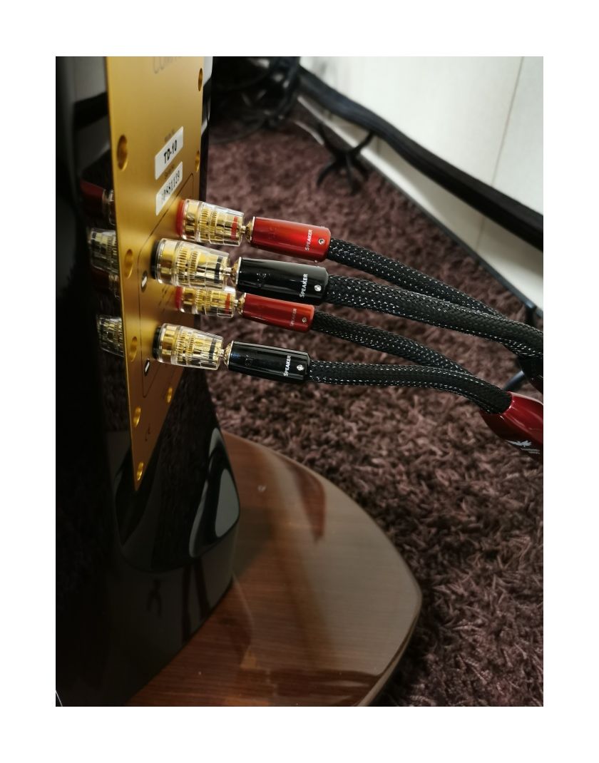 Audioquest DRAGON ZERO 2x3m hangfalkábel - HOME MOVIE – Webáruház